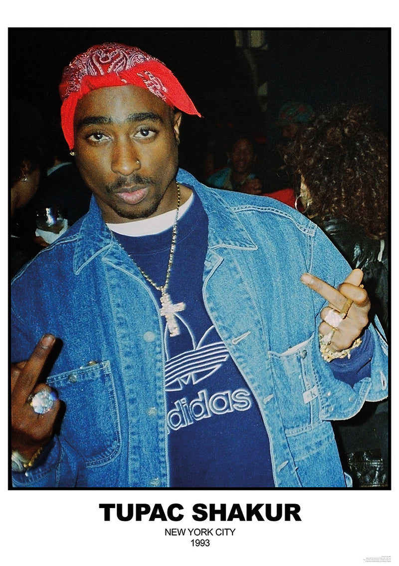 Tupac New York City 1993 Colour Maxi Poster – Koolpixnz