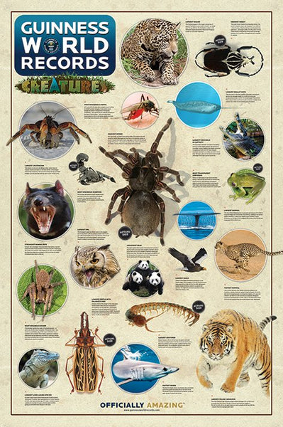Guinness World Records Creatures Chart Maxi Poster – Koolpixnz
